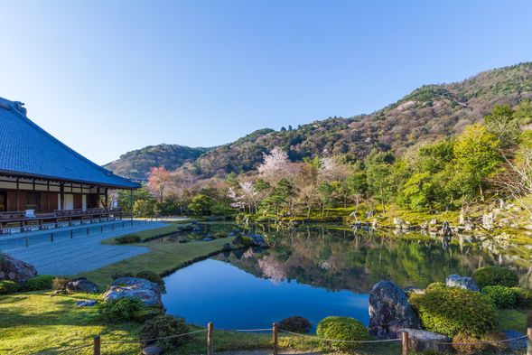 Kyoto Sagano Romantic Train in Arashiyama Bus Tour