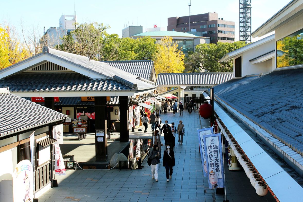 Discover the Wonders of Kumamoto Tour with Local Guide