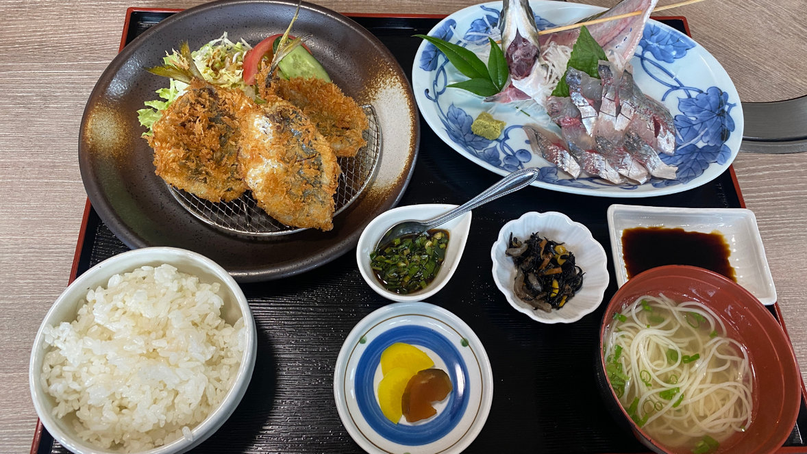 [Afternoon Fishing Experience] Catch & Taste Horse Mackerel in Matsuura ...