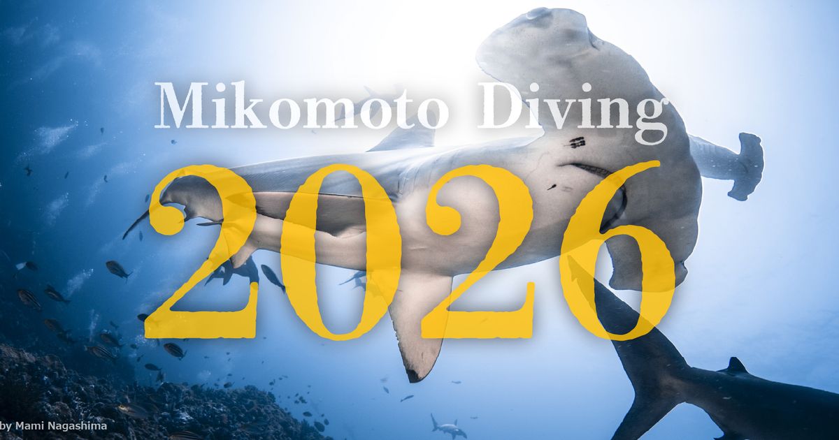 [FY2026] Mikomoto 2 boat fun diving