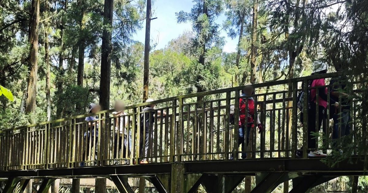 Xitou Nature Adventure – Monster Village & Bamboo Forest