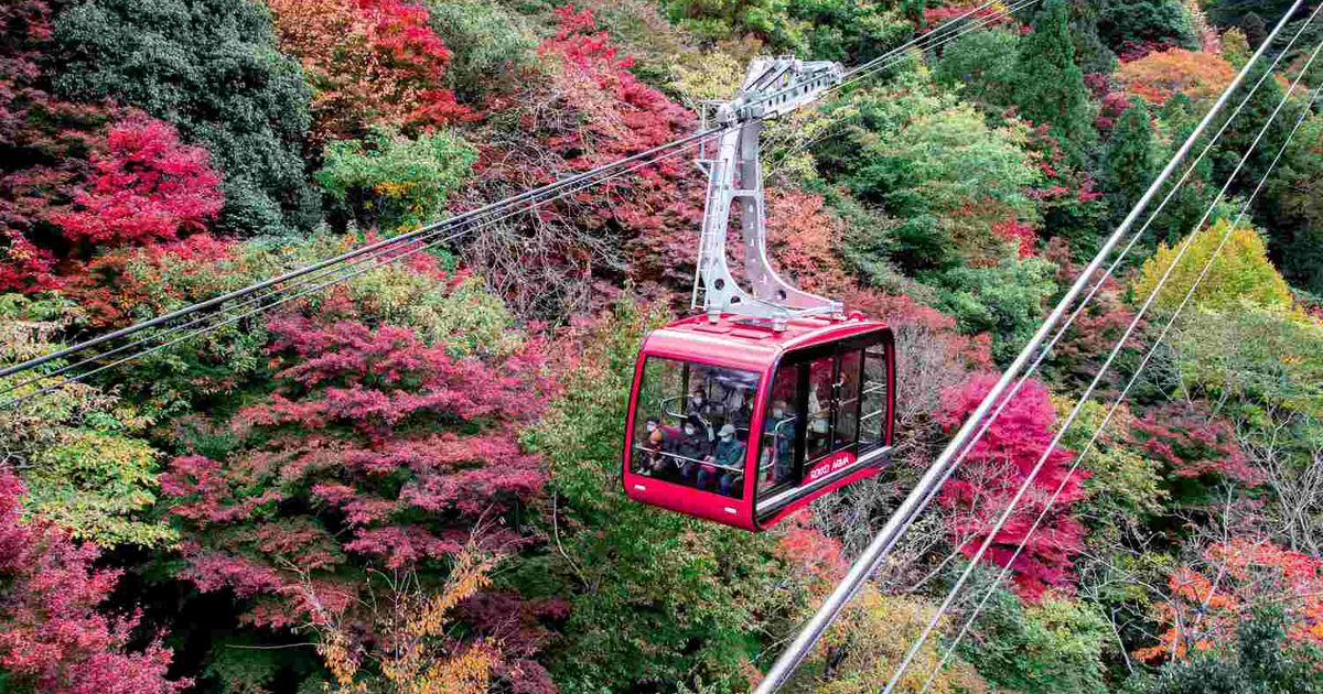 Mt. Rokko Ropeway and Cable Car Awesome Autumn 1Day Bus Tour