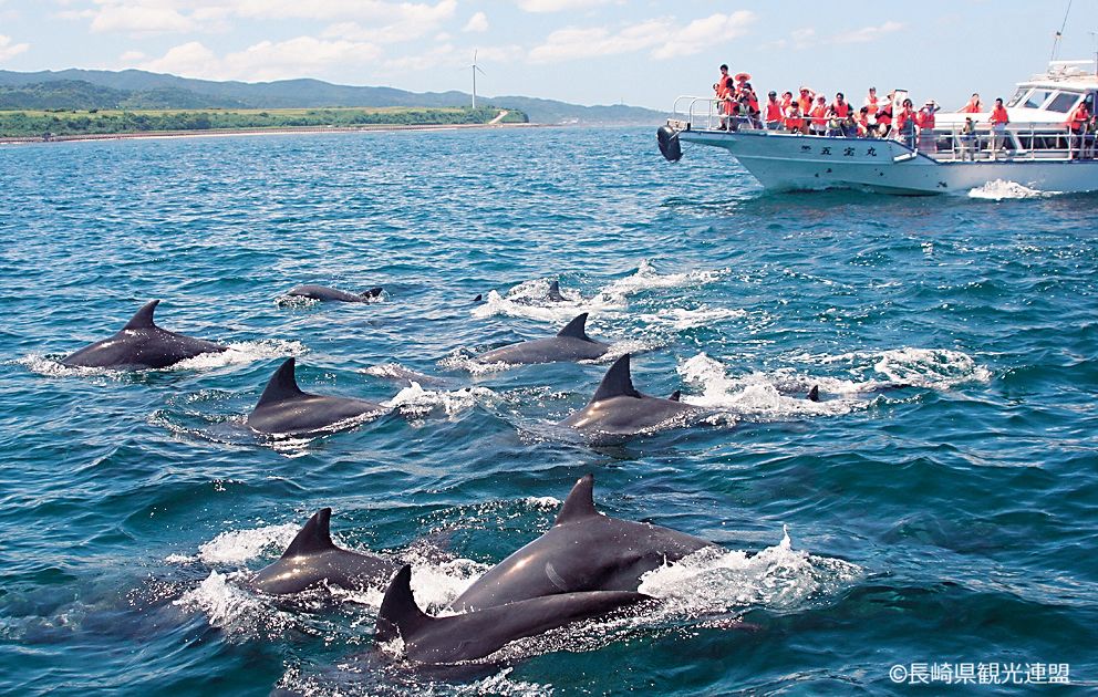 A Magical Private tour from Dolphin Bay to Volcanic Hot Spring In Nagasaki