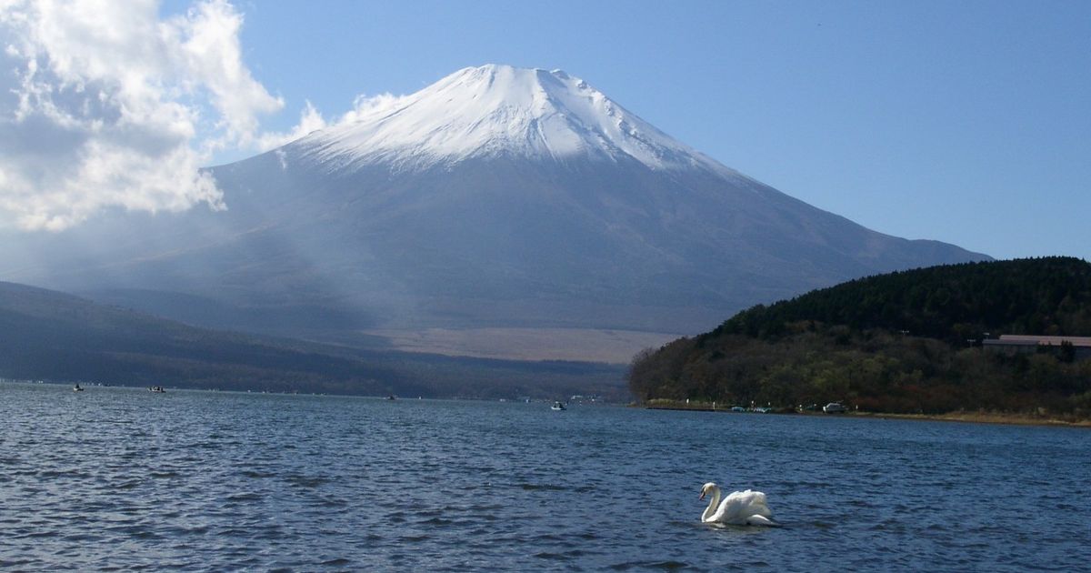 1-Day Mt. Fuji & Hakone Tour from Shinjuku