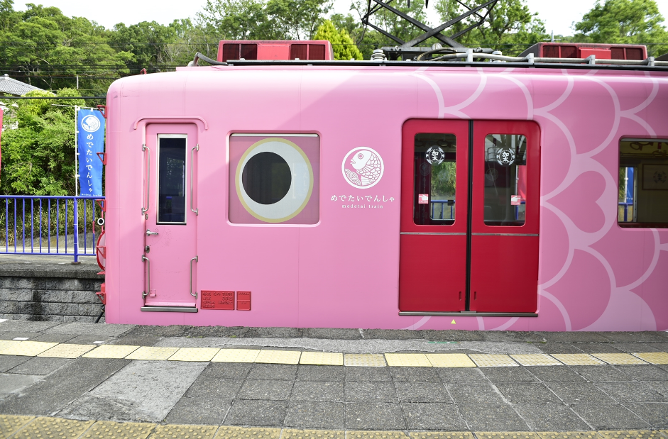 NANKAI ALL LINE 2 day Pass