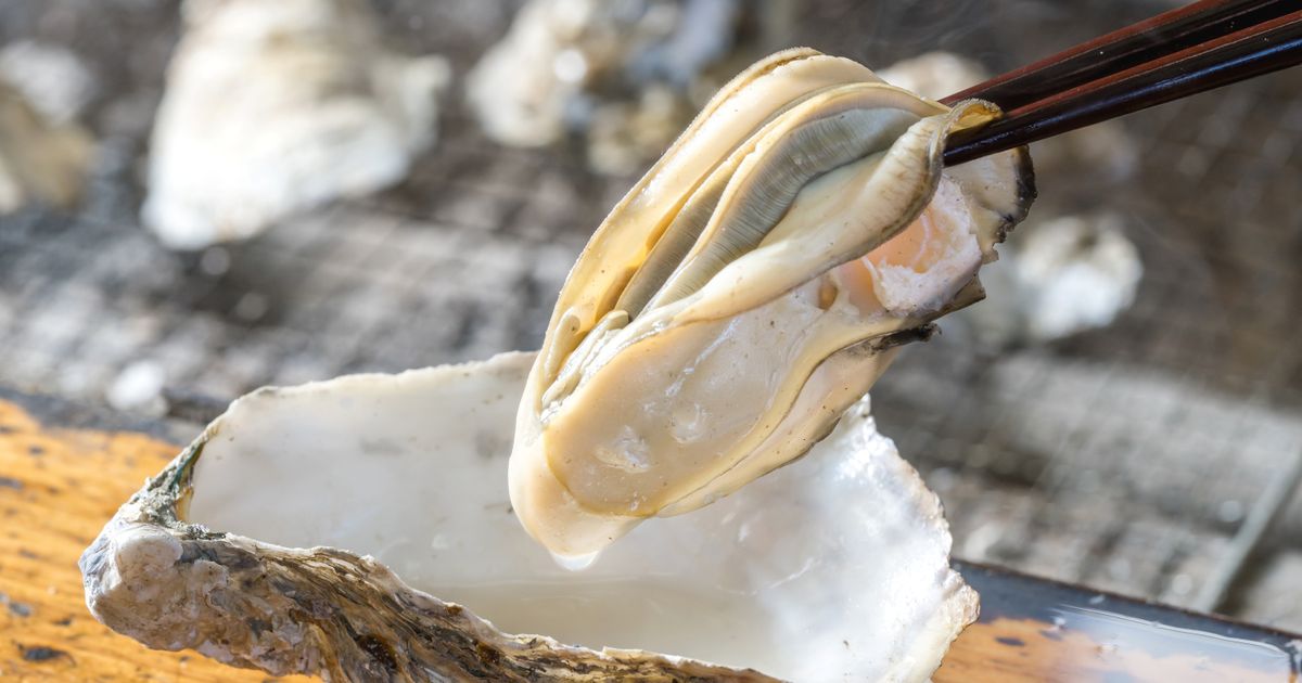 Grown-Up Gourmet Escape: Takesaki Oysters & Ariake Sea Delicacies ...