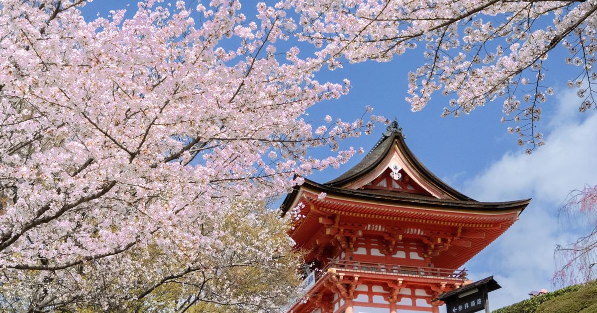 Kyoto 1 Day Golden Route Bus Tour