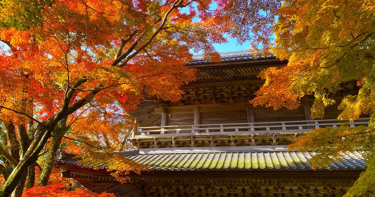 Enjoy Shiga Autumn,Shopping and Ropeway Bus Tour from Kyoto