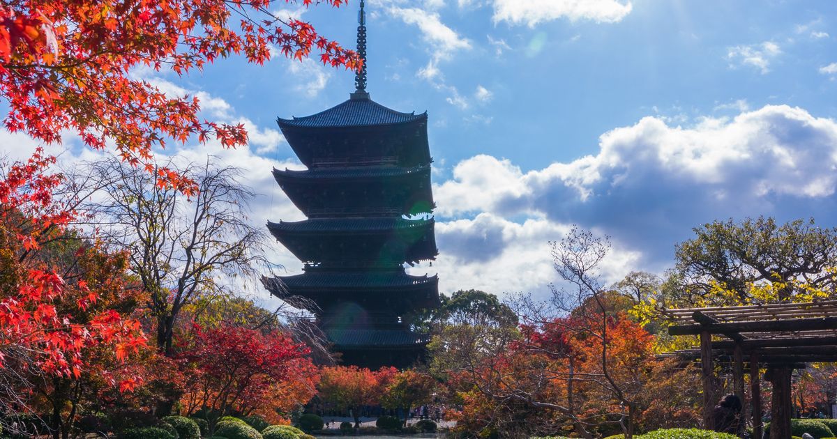 KTIC Friends Toji Flea Market Walking Tour in Kyoto Half Day